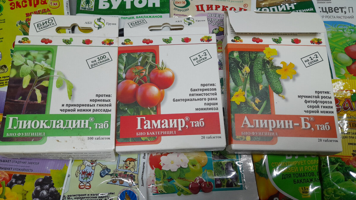 Аптечка садовода - готовимся к сезону 2024: эффективные препараты от ...