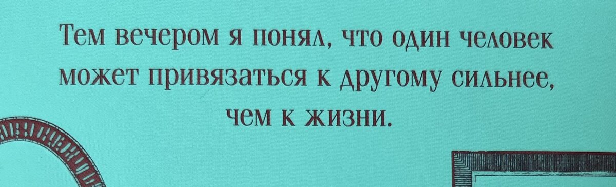 Серкан Болат и его любимые книги 📚| «Маленький принц»🇫🇷 | «Мадонна в ...