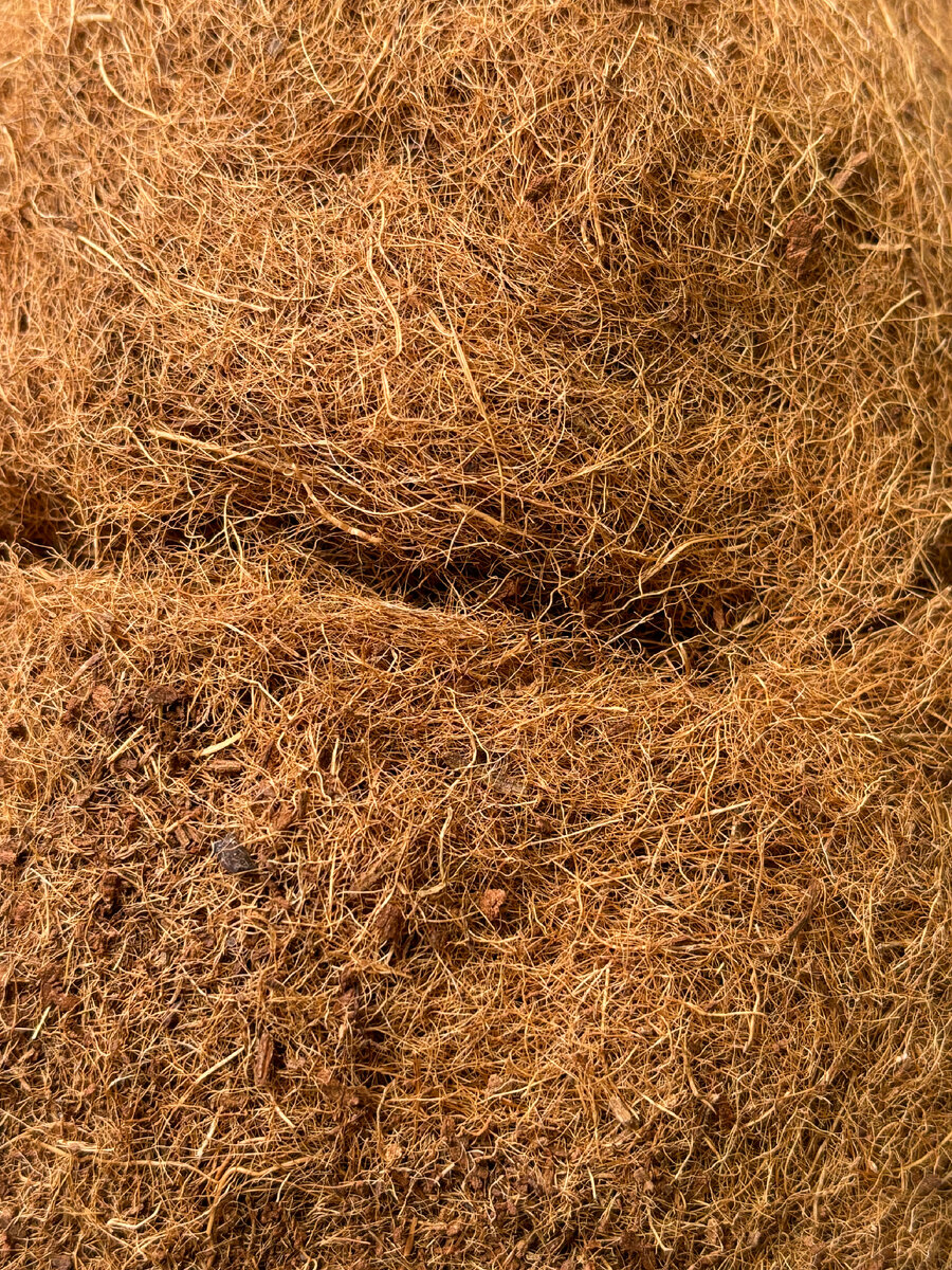 Идеальный грунт для растений | Spirit Of Plants | Дзен