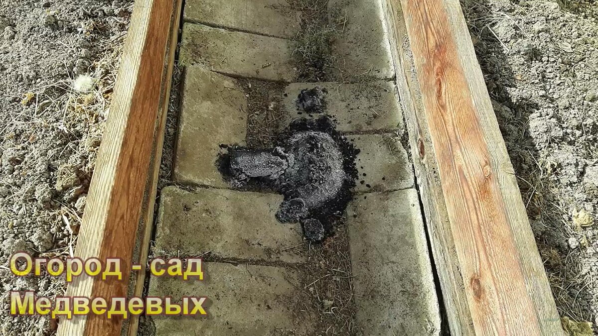 Пока не поздно, продезинфицируй теплицу | Огород - сад Медведевых | Дзен