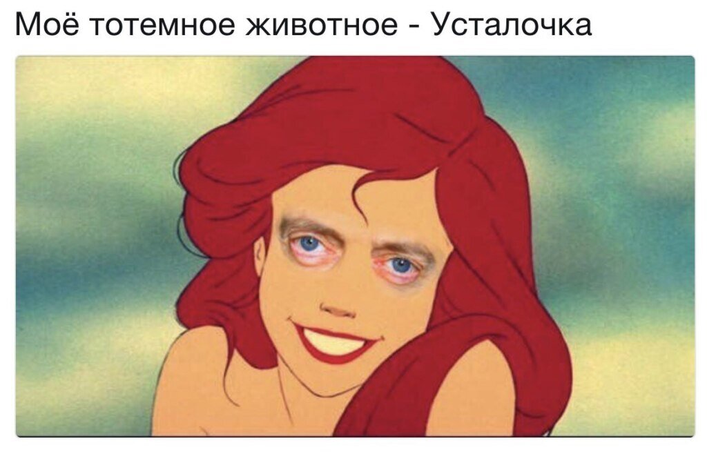 Мемы, происхождение, значение. Глаза Стива Бушеми. | TFM🍌 | Дзен