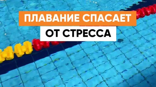 Школа плавания Swimrocket Самый лучший анти стресс 🚀 Дзен