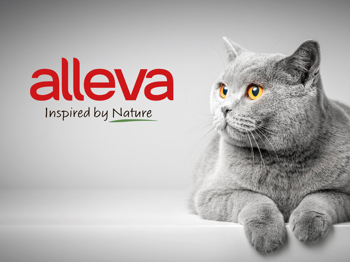 Кормление питомца: имеет ли значение порода? | Alleva | Дзен