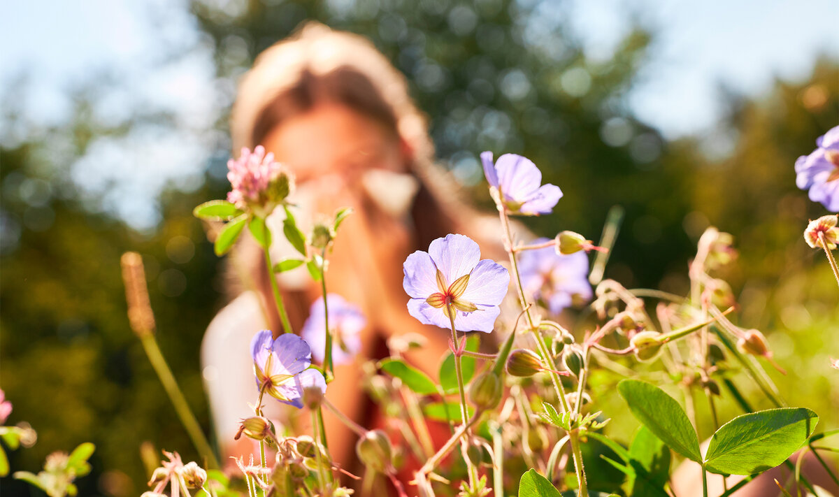 Отдых для аллергика в России: куда убежать от сезона цветения ...