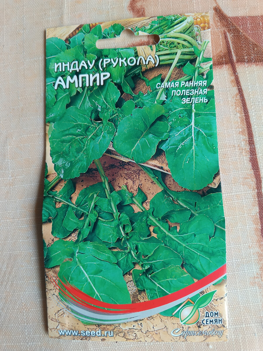 Руккола — это что за такое растение, зачем нужно ее есть | Блогерство ...