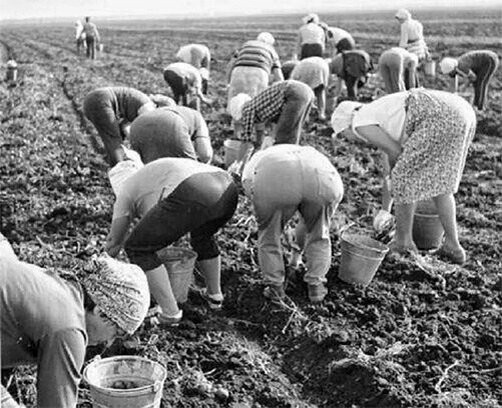 Ну, за Солидарность! | Ингеварр | Дзен