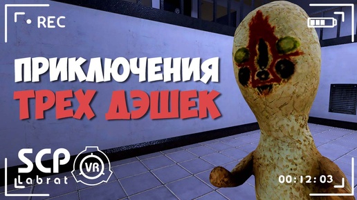 СЦП-КОМАНДА SCP: LABRAT | Сестра Винчестер | Дзен