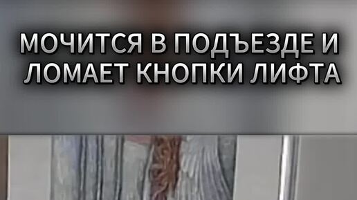 Радио 1 | В Екатеринбурге дети мигрантов ходят в туалет прямо в ...