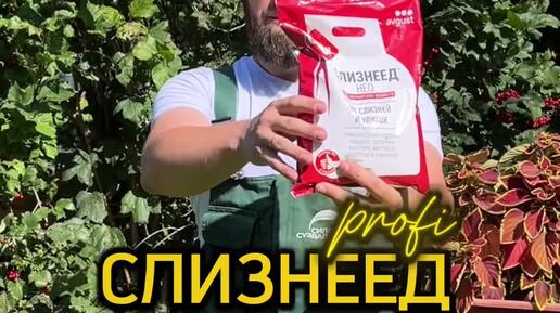 Сила Суздаля - Сила родной Земли | Тестируем средство для борьбы со ...