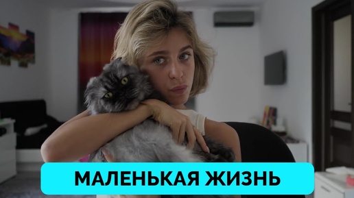 Как Изменилась Жизнь Простых Людей - Блогер LIZA CHAIKA Рассказывает ...