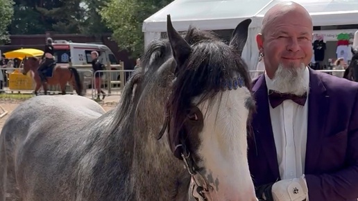 Дела конные | #лошади | Дзен