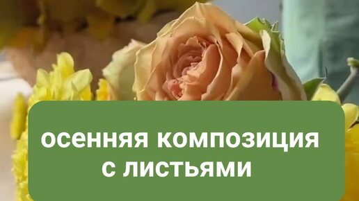 Александр Поляшов | Жду тебя на эфире - https://thm.page/p/64df4792511d6c4ef2282c99?utm_source ...