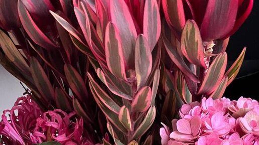 Александр Поляшов | Жду тебя на эфире - https://thm.page/p/64df4792511d6c4ef2282c99?utm_source ...