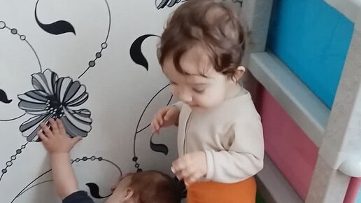 Королевская двойня без матери | Минутки совместных игр | Дзен