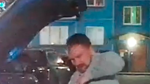 RuNews24.ru | Привёл тигра в жилую 5-этажку | Дзен