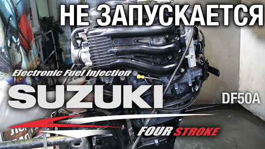 SUZUKI DF50A EFI не запускается | Ремонт лодочных моторов г. Уссурийск ...