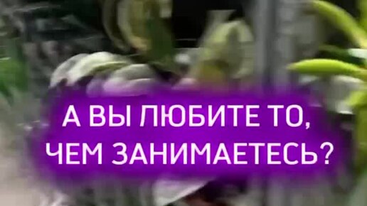 Александр Поляшов | Жду тебя на эфире - https://thm.page/p/64df4792511d6c4ef2282c99?utm_source ...