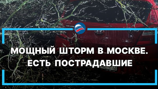 RuNews24.ru | Мощный шторм в Москве. Есть пострадавшие | Дзен