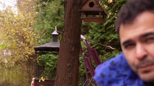 dikiy_vadik | Мысли перед сном | Дзен