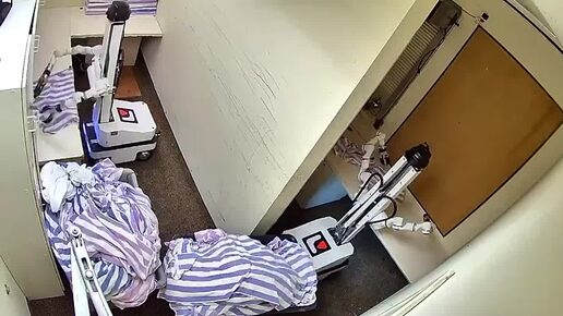 Киберпанк рядом: стартаперы Watney Robotics показали, как их машины без ...