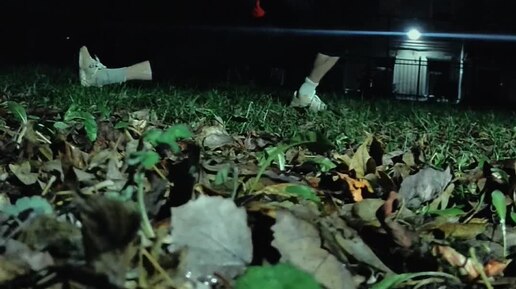 Chicken Creators | 65ый день нерушимой дисциплины в Петербурге / Наши статьи – https://m.dzen.ru ...