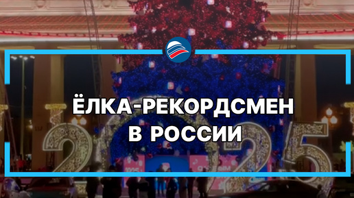 RuNews24.ru | Ёлка-рекордсмен в России | Дзен