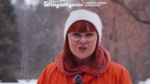 Strogoorganic онлайн-школа садоводов / Строгоорганик | Как защитить молодое дерево? 3 главных ...