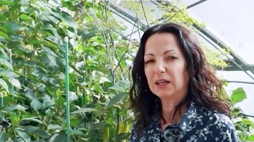 Strogoorganic онлайн-школа садоводов / Строгоорганик | Теплица своими руками / Ученицы ...