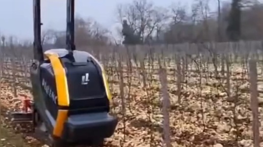 Винный душнила | Автономный робот для виноградников RX-20 от французской компании Pellenc | Дзен