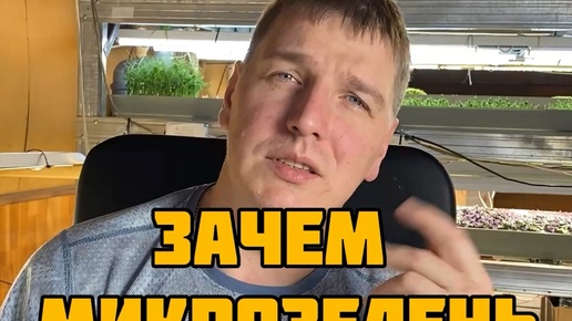 Владимир Свичеревский. Ситифермер | зачем микрозелень в рационе | Дзен