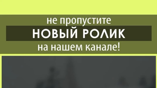 БАНИКА | Обзор одноэтажного дома с баней внутри из термоосины #строительство Связаться с нашим ...