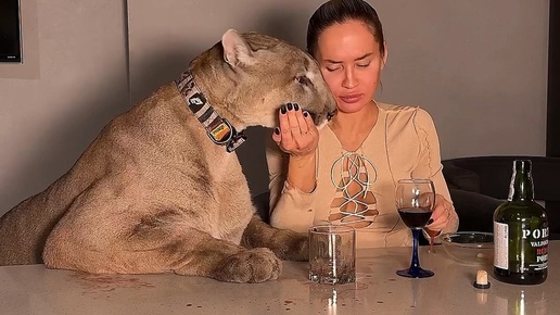 London-big-cat | и выслушает, и выпьет с тобой... вот что значит ...