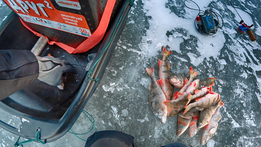 НАШЕЛ ТОРОСЫ С ОКУНЯМИ!!! Как найти рыбу зимой без навигации? Ловля ...