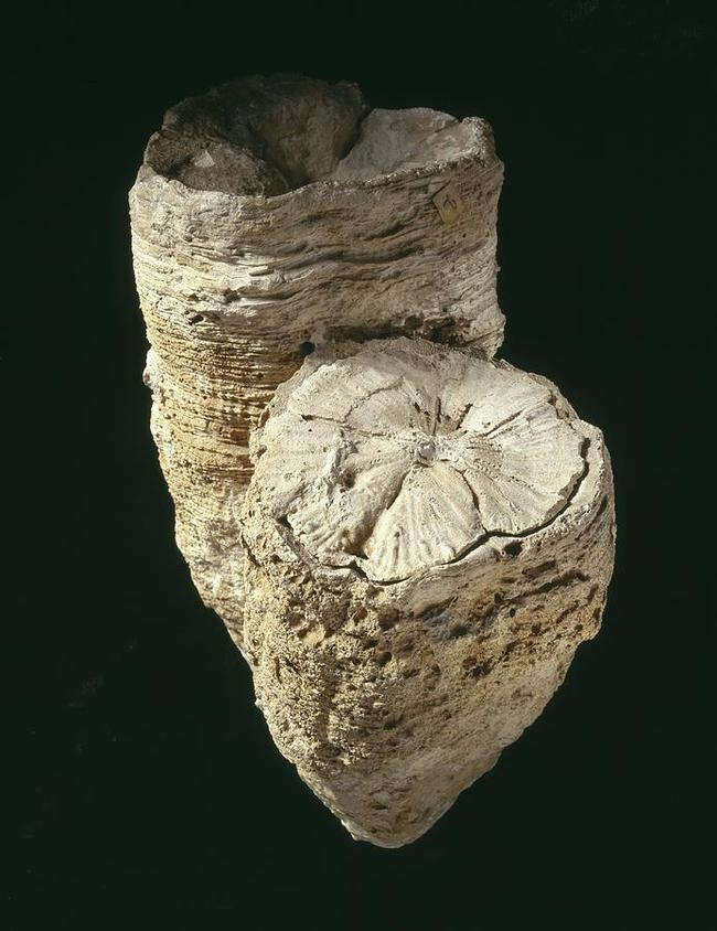  70 