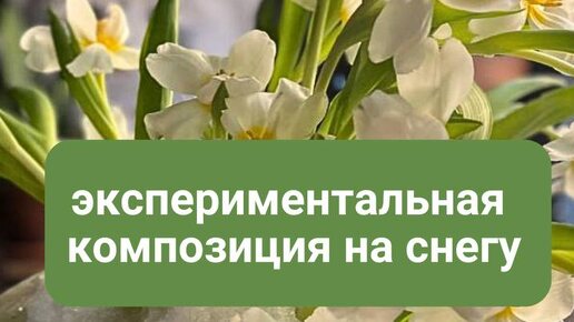Александр Поляшов | Приходи на открытый урок "Флористика с нуля" - https://thm.page/p ...