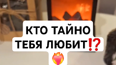 Дары Таро | по личным раскладам ⤵️ https://taplink.cc/dari_taro ⠀ https://boosty.to/dari_taro ⤵️ ...