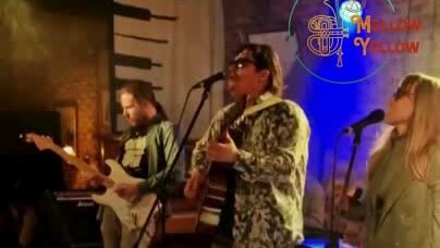 Mellow Yellow music club | Идеальная формула для снятия стресса | Дзен