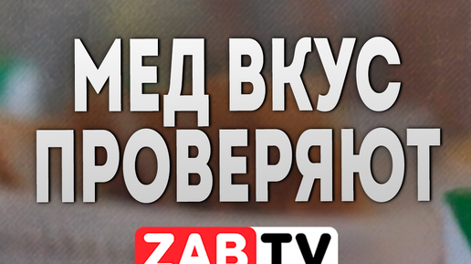 ZAB.TV | актуальное МЕД ВКУС ПРОВЕРЯЮТ 11 февраля 2025 года | Дзен
