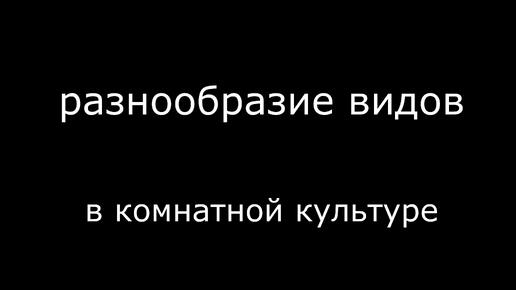 Многообразие хавортий в комнатной культуре из моей коллекции | Sergey Pushkin - биология для ...