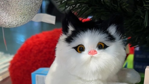 po_lubvi_spb | Это самый милый магазинчик необычных подарков🫶 📍Тц Охта Молл Брантовская дорога ...