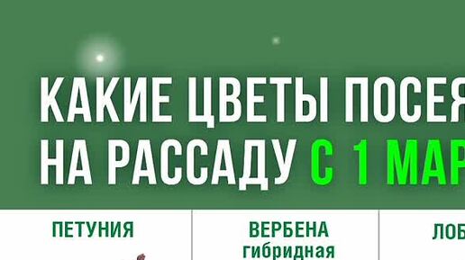 Procvetok | Зацветут гораздо раньше, пышно и ярко! Какие цветы посеять в марте на рассаду ...