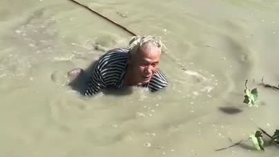 RYBALKA RU | Дедушка Няу вытащил огромную рыбу на плече. Рыбалка удалась | Дзен