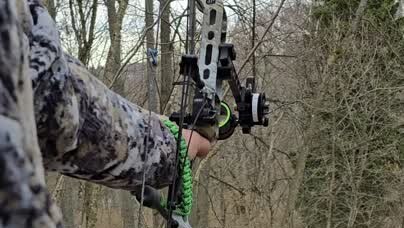 DENDRA.RUSSIA | Как готовиться к охоте с луком?! 3д стрельба учит вас ...