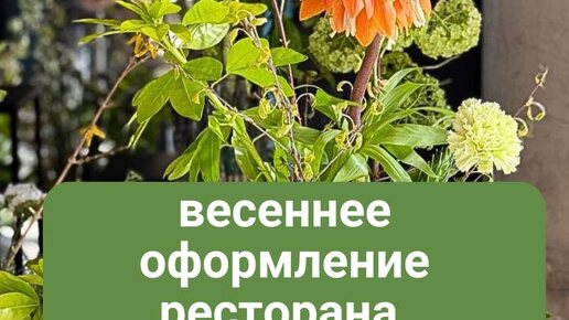 Александр Поляшов | Приходи на открытый урок "Флористика с нуля" - https://thm.page/p ...