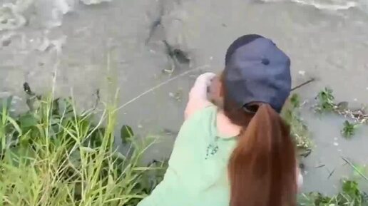 RYBALKA RU | Лия первым забросом накрыла рыбу сетью в болоте | Дзен