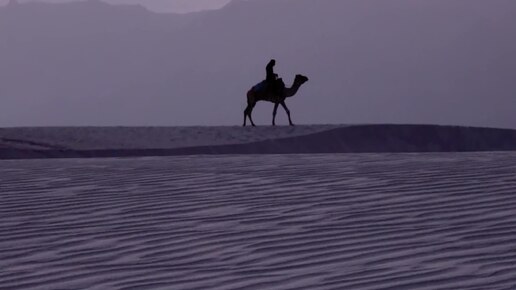 Поехали по Миру | Подписывайся на https://dzen.ru/poehalipomiru 🌎 У нас всё о путешествиях и ...