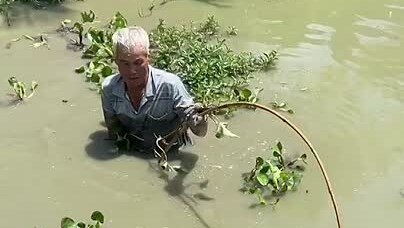 RYBALKA RU | Наконец то попался кабанчик на удочку | Дзен