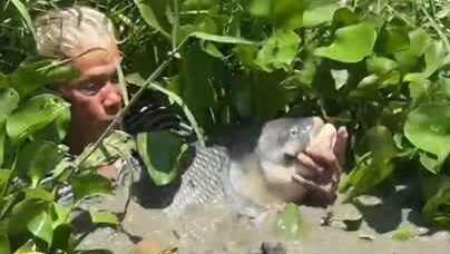 RYBALKA RU | Руками наловили огромной рыбы мужики с удочками ничего | Дзен