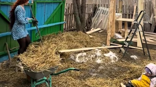 BOROGOZI | Ролик от 18.04.2025 продолжительностью 72 сек. | Дзен