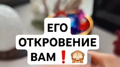 Дары Таро | по личным раскладам ⤵️ https://taplink.cc/dari_taro ⠀ https://boosty.to/dari_taro ⤵️ ...